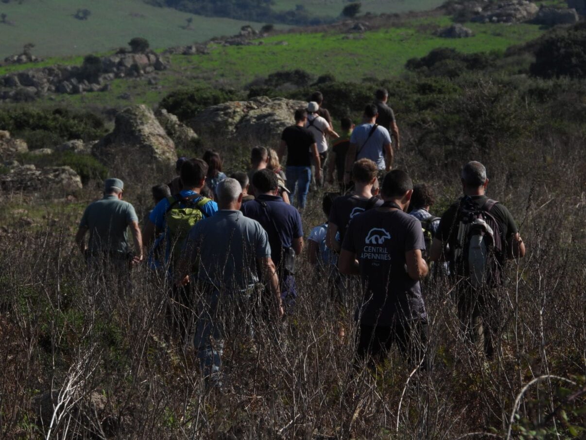 The supplementary feeding stations for Griffon vultures | Rewilding ...