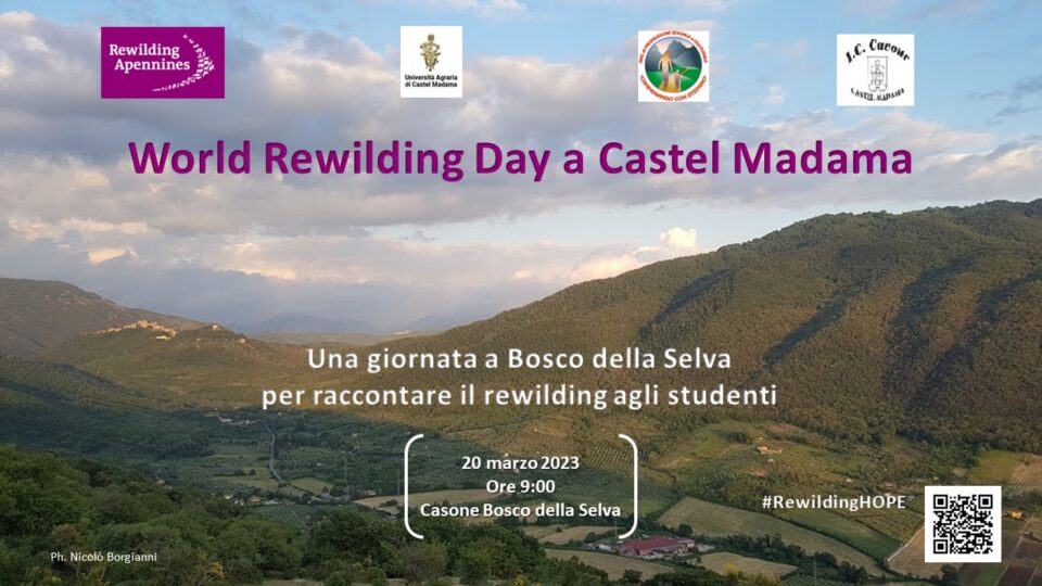 World Rewilding Day 2023 celebrates the hopeful message of nature ...