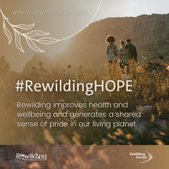 World Rewilding Day 2023 celebrates the hopeful message of nature ...