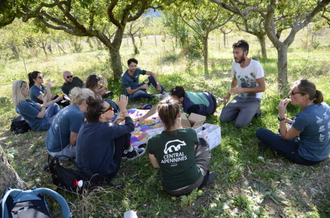 Rewilding Experiences: join the field activities to know about ...