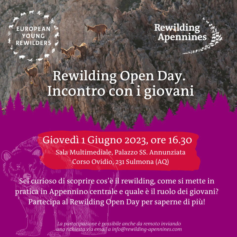 Rewilding Open Day: an event to meet young people and beyond ...